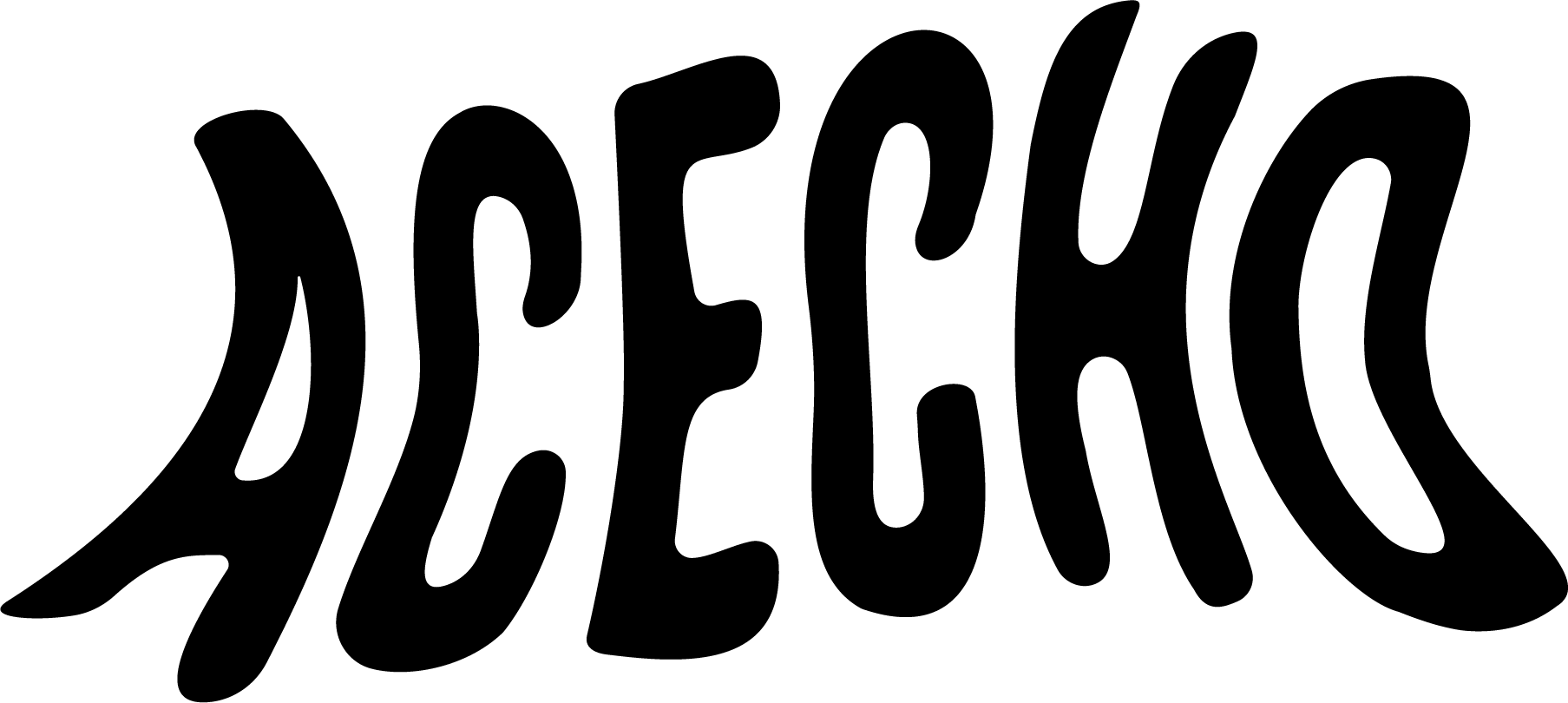 Experiencia acecho – Acecho